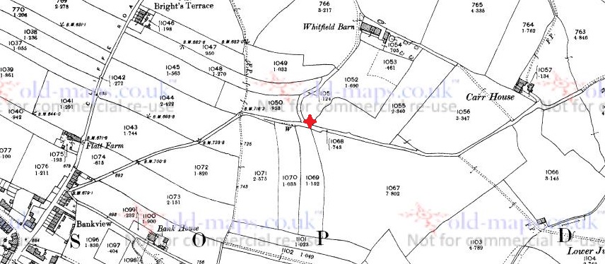 Carr House Lane Stone – The Glossop Cabinet of Curiosities