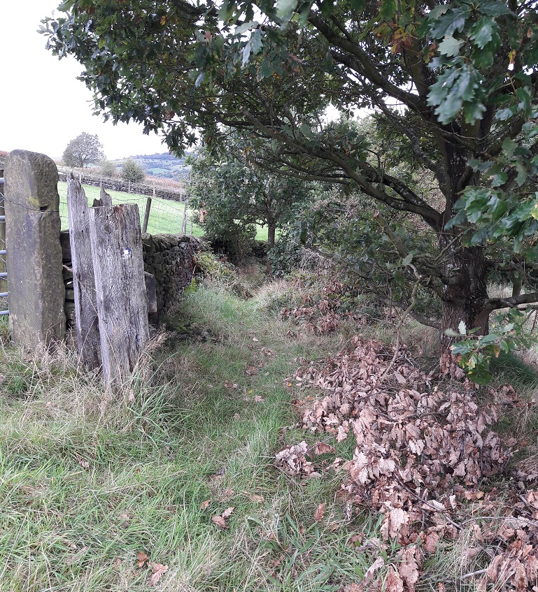 Carr House Lane Stone – The Glossop Cabinet of Curiosities