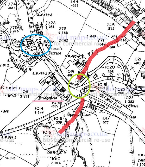 Bridgefield – The Glossop Cabinet of Curiosities